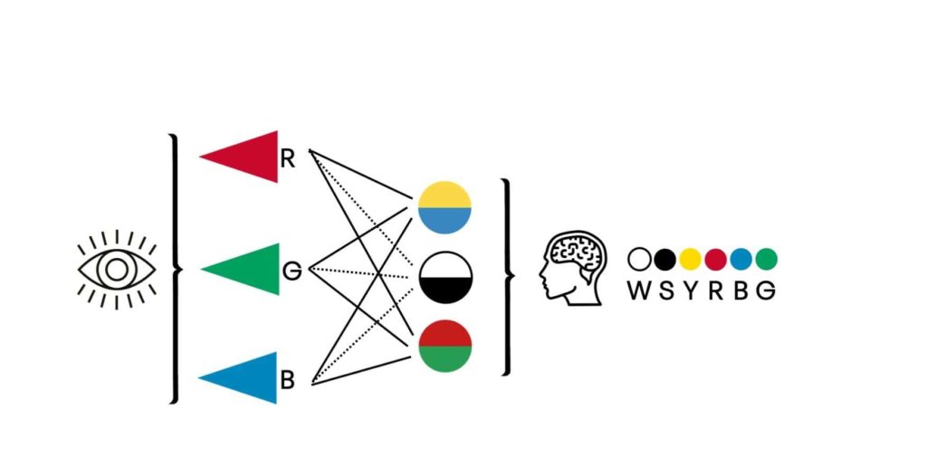 UNDERSTANDING NCS | system NCS